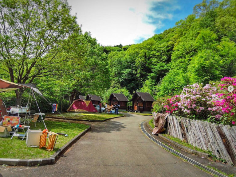 静岡県民が厳選！秋に紅葉が楽しめる静岡キャンプ場ベスト5 | campnuts（キャンプナッツ）