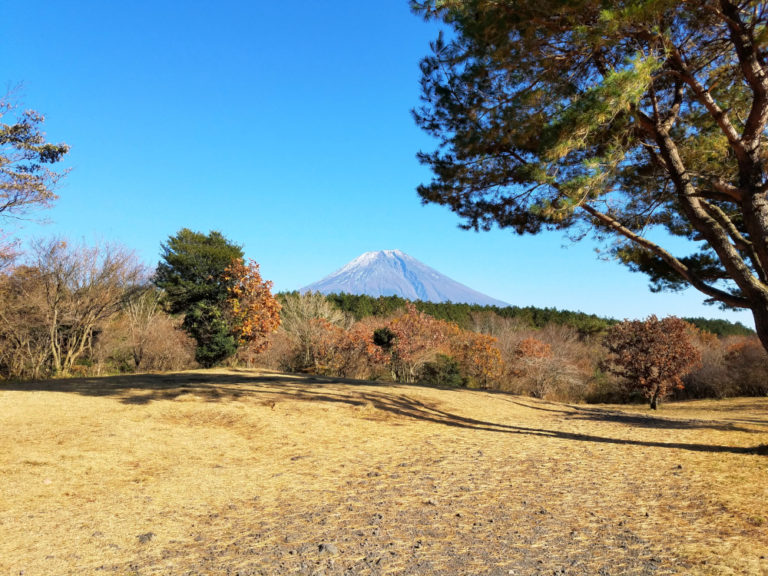 2026年決定版！静岡の人気キャンプ場ランキングベスト5 | campnuts（キャンプナッツ）