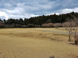 2026年決定版！静岡の人気キャンプ場ランキングベスト5 | campnuts（キャンプナッツ）