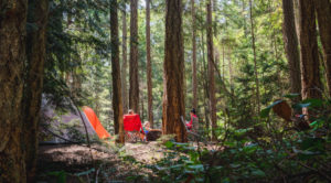 ワークマンで夏キャンプが快適！ひんやり気持ちいいウェア13選 | campnuts（キャンプナッツ）