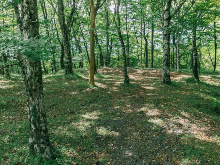 夏でも涼しく快適な静岡キャンプ場5選！気温差は驚きの7.2℃ | campnuts（キャンプナッツ）