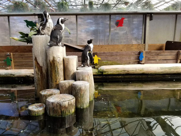 【ふもとっぱら】食事・温泉・観光名所！有名な立ち寄りスポット16選 | campnuts（キャンプナッツ）